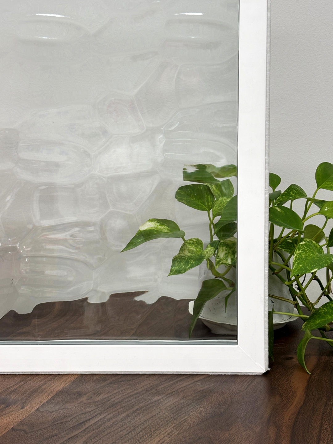 Specialty Windows - United Window & Door