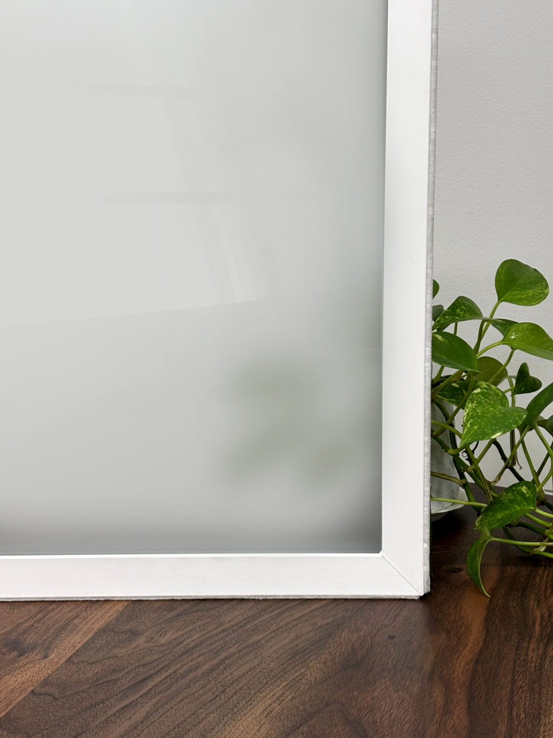 Specialty Windows - United Window & Door